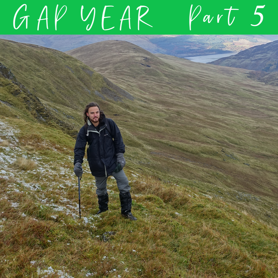 Year Around the World – HRM